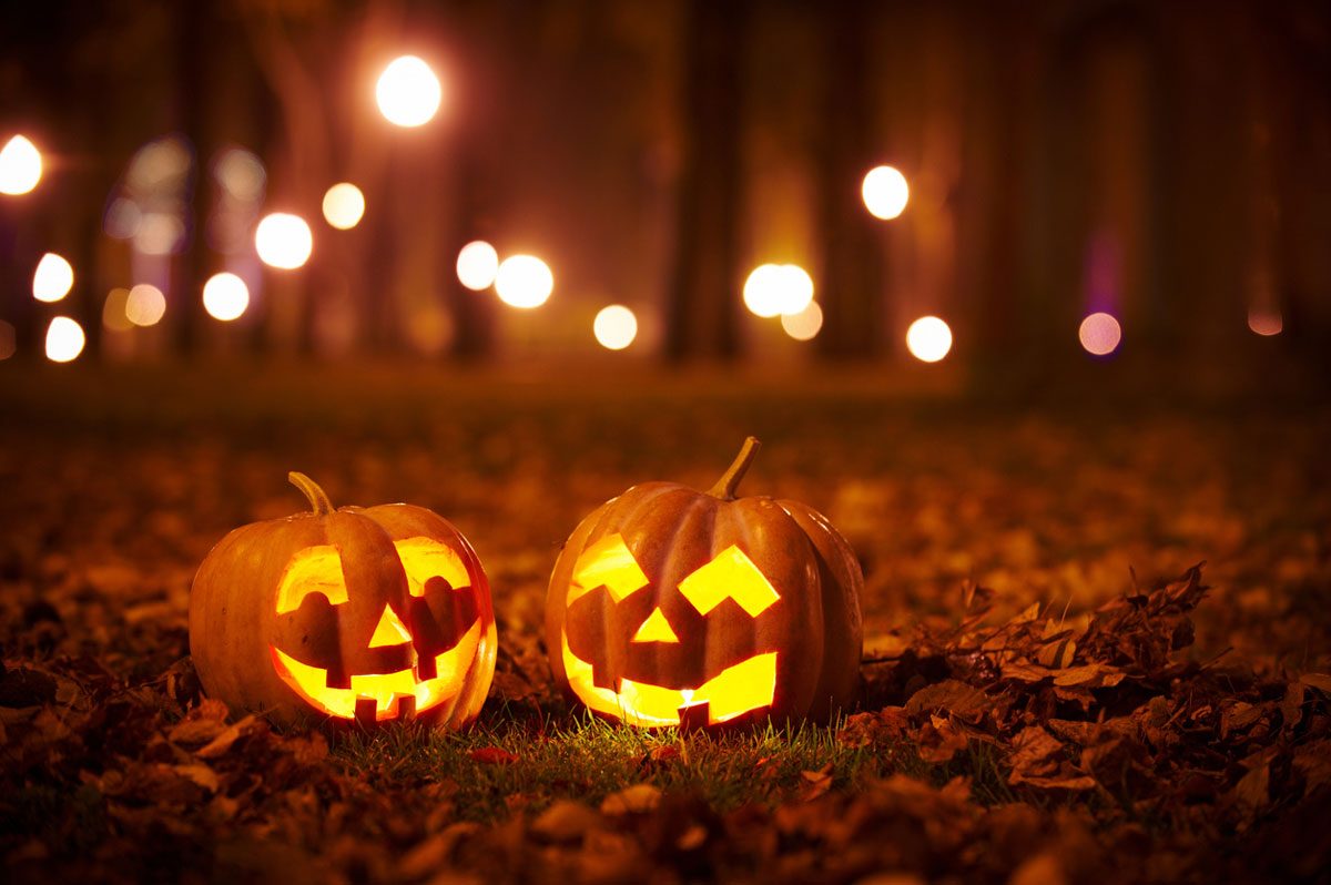 Halloween 2024: A Spooky Style Guide – The Jacket Factory